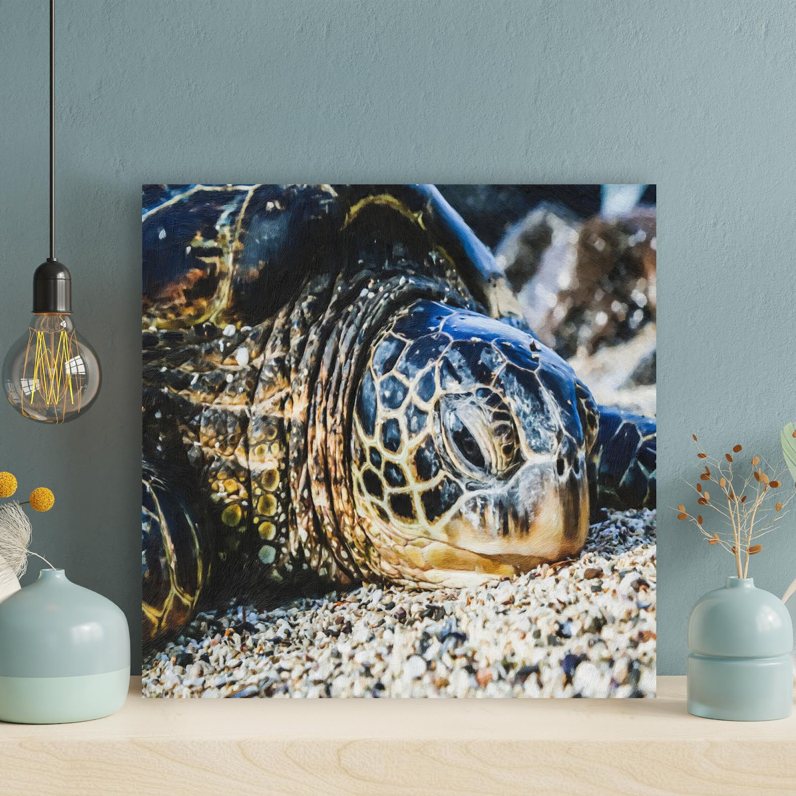 Bayou Breeze A Turtle On Gravel Beach Under Sunlight In Close-Up - 1 ...
