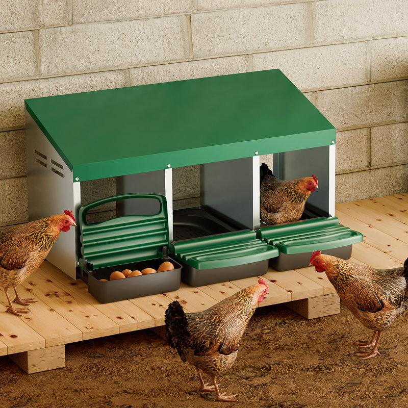 Bring Home Furniture Chicken Nesting Boxes with 3 Compartments for ...