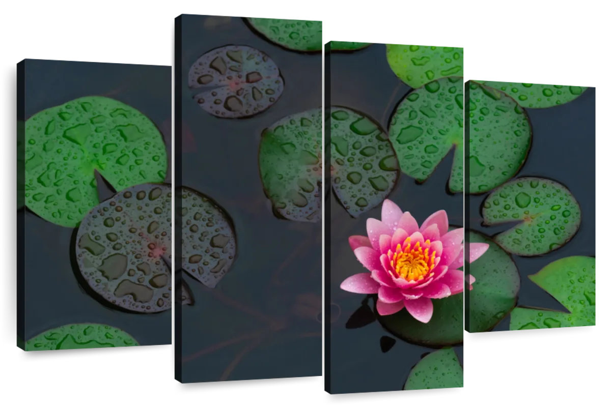 Lark Manor Harnek Lotus In The Rain - Wayfair Canada