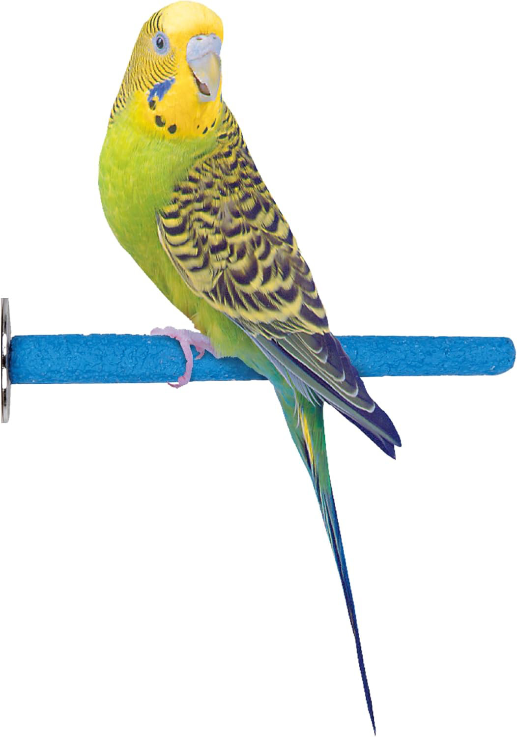 Penn Plax 7" Cement Trimmer Bird Perch – Naturally Trims Nails & Beak ...