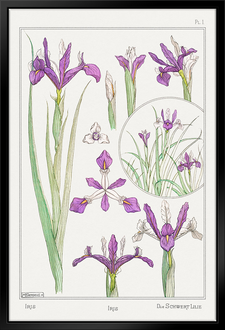 ATX Art Group LLC Iris by Maurice Pillard Verneuil - Floater Frame ...