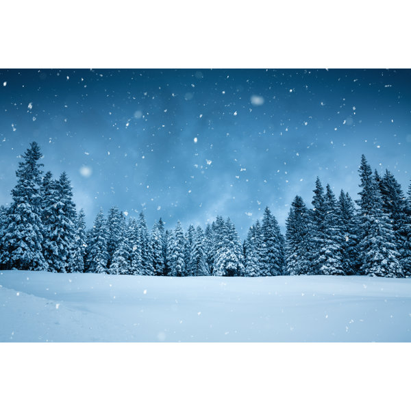 Alpen Home Winter Forest by Borchee - Wrapped Canvas Art Prints ...