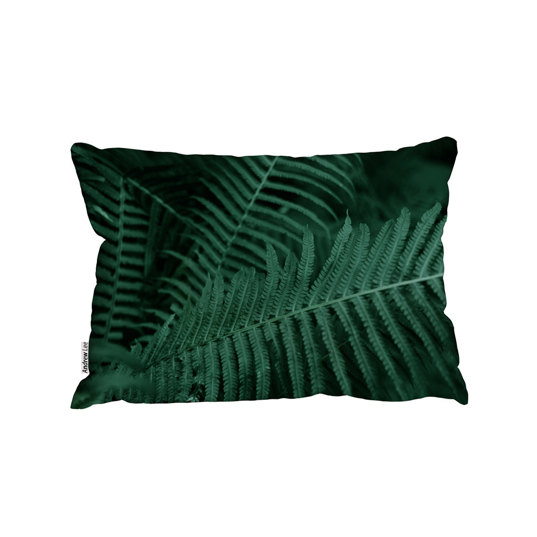 Andrew Lee Deep Green Fern Leaves Texture. Fern In The Forest. Plants ...