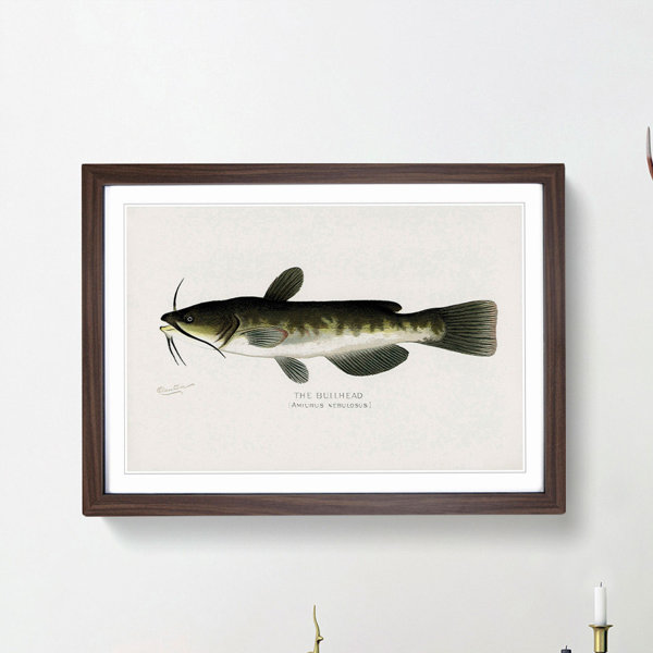 East Urban Home Bullhead Fish by Sherman F. Denton - Picture Frame Art ...