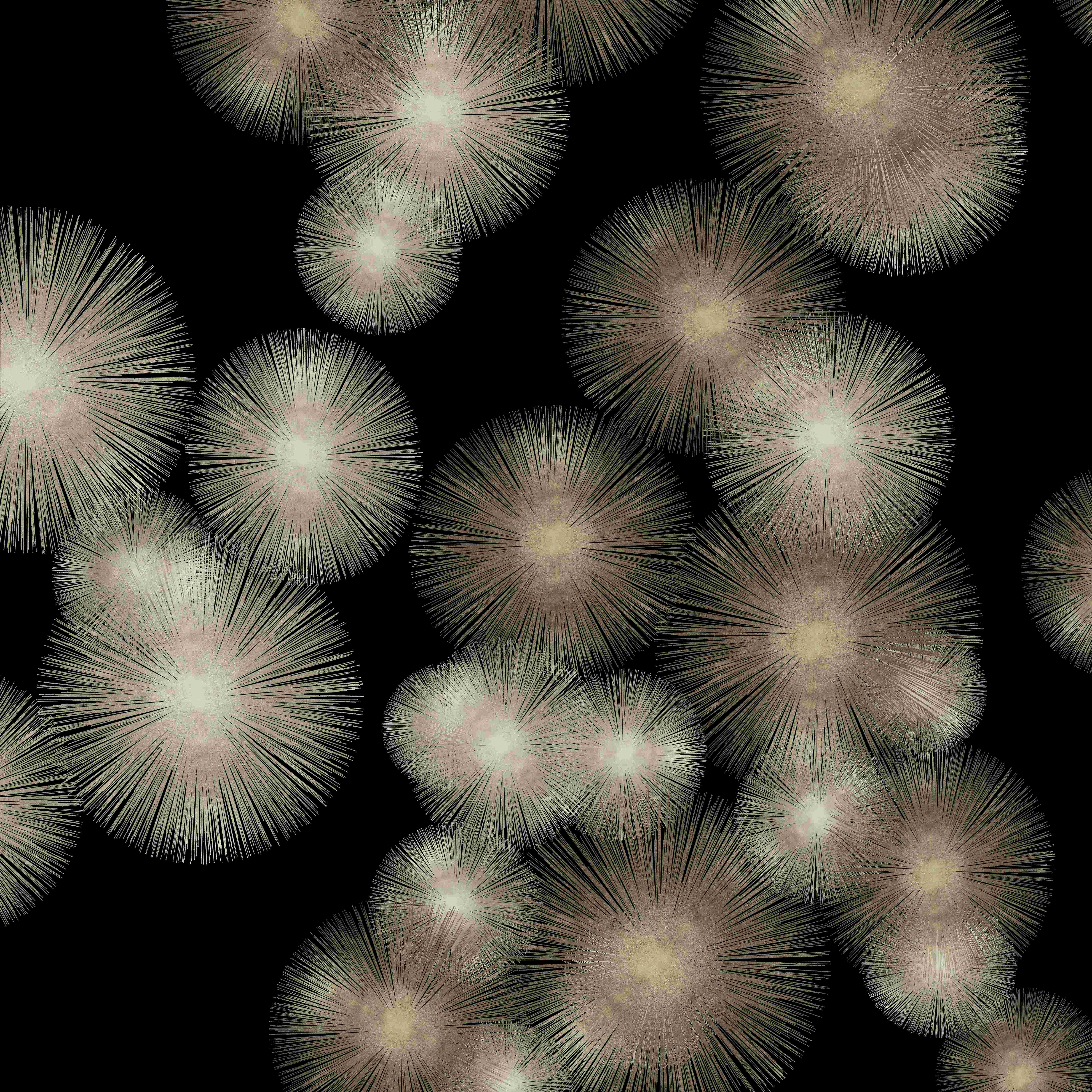 Mercer41 Pewter Sunbursts - Wrapped Canvas Print | Wayfair