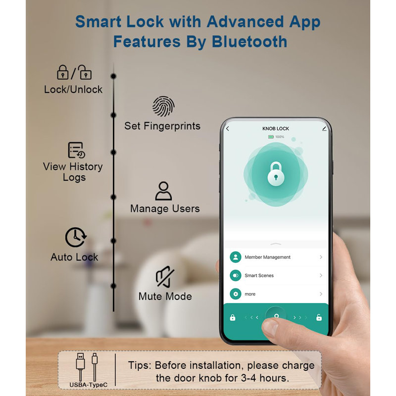 ARMIJU Matte Black Fingerprint Door Lock with Keypad and App Control ...