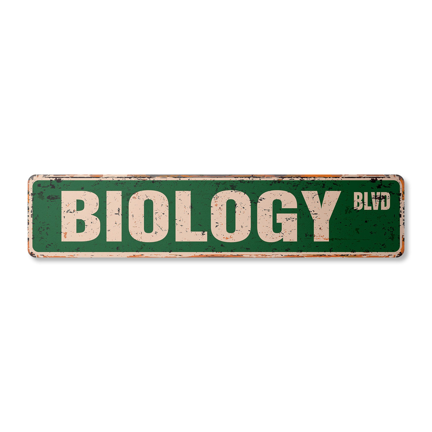 SignMission Biology Street Sign Heavy Duty Plastic 4" X 18" | Wayfair