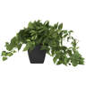 Primrue Faux Foliage Pothos Artificial Plant with Black Plastic Pot ...