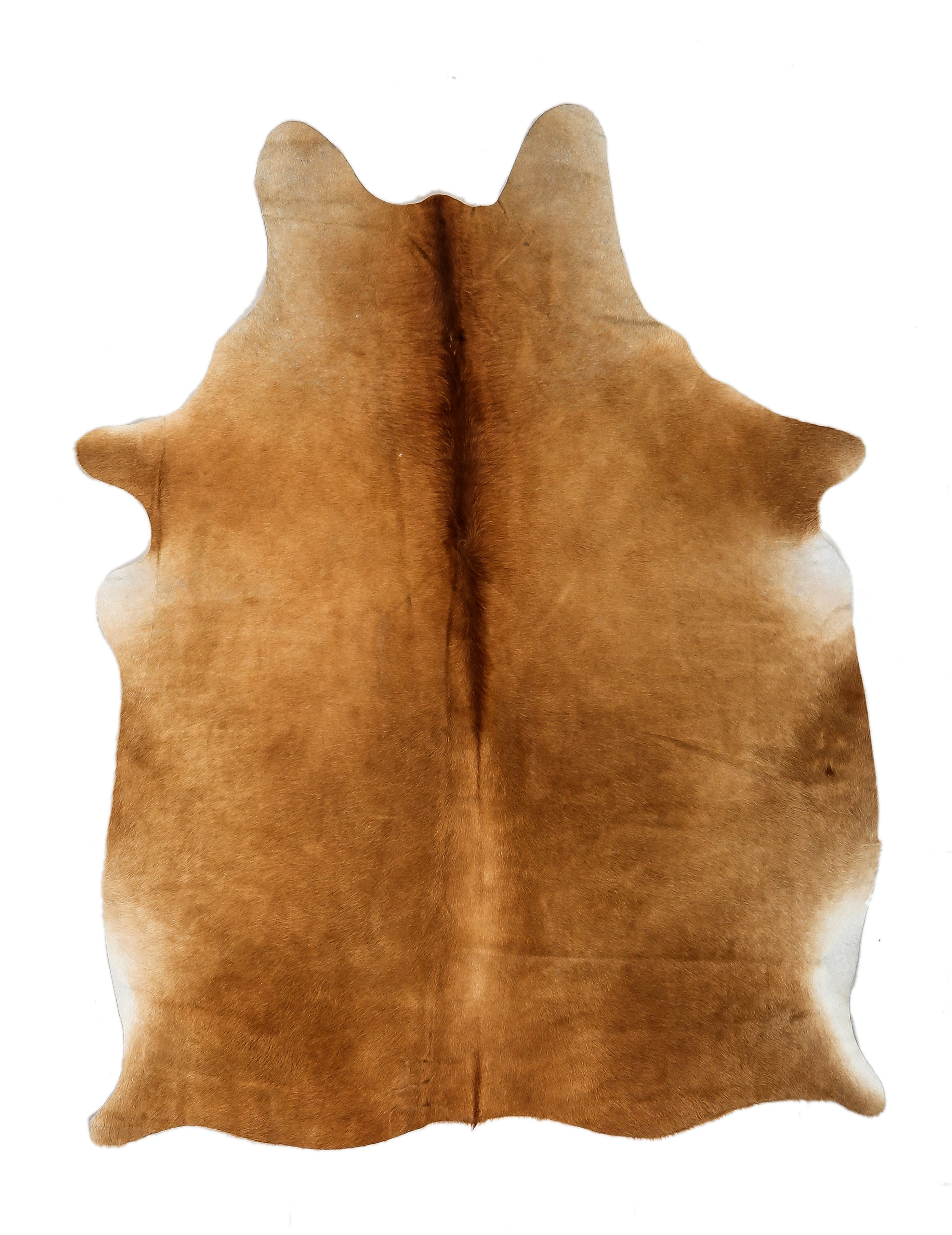 Natur Pur Natural Cow Hide - Tan | Wayfair.co.uk