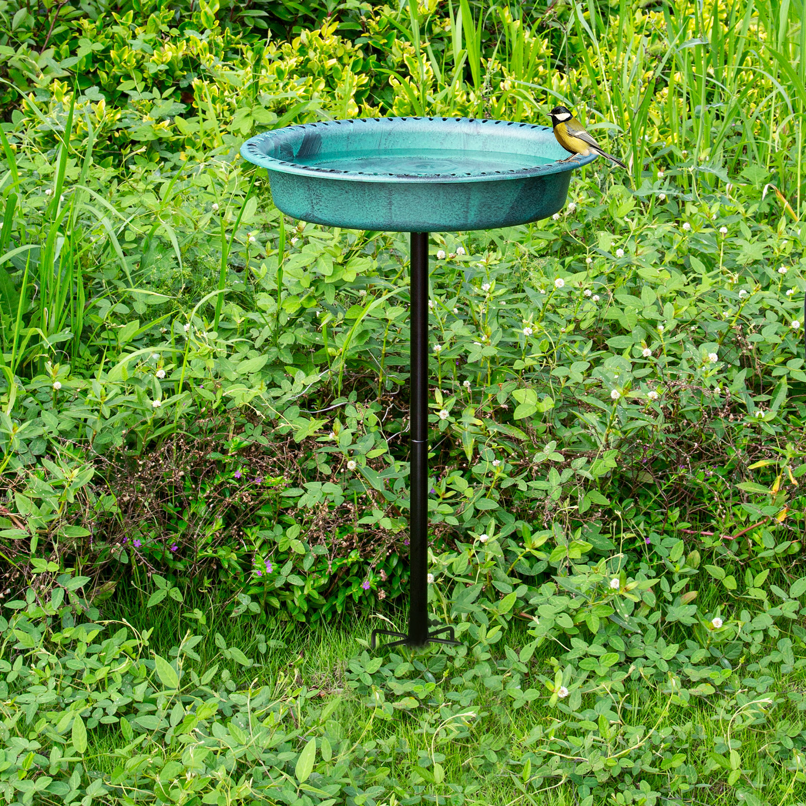 Winston Porter Oval Polyresin Bird Bath Bowl With Metal Stake - Wayfair ...