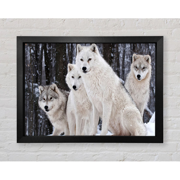 Bright Star White Wolf Pack - Single Picture Frame Art Prints | Wayfair ...