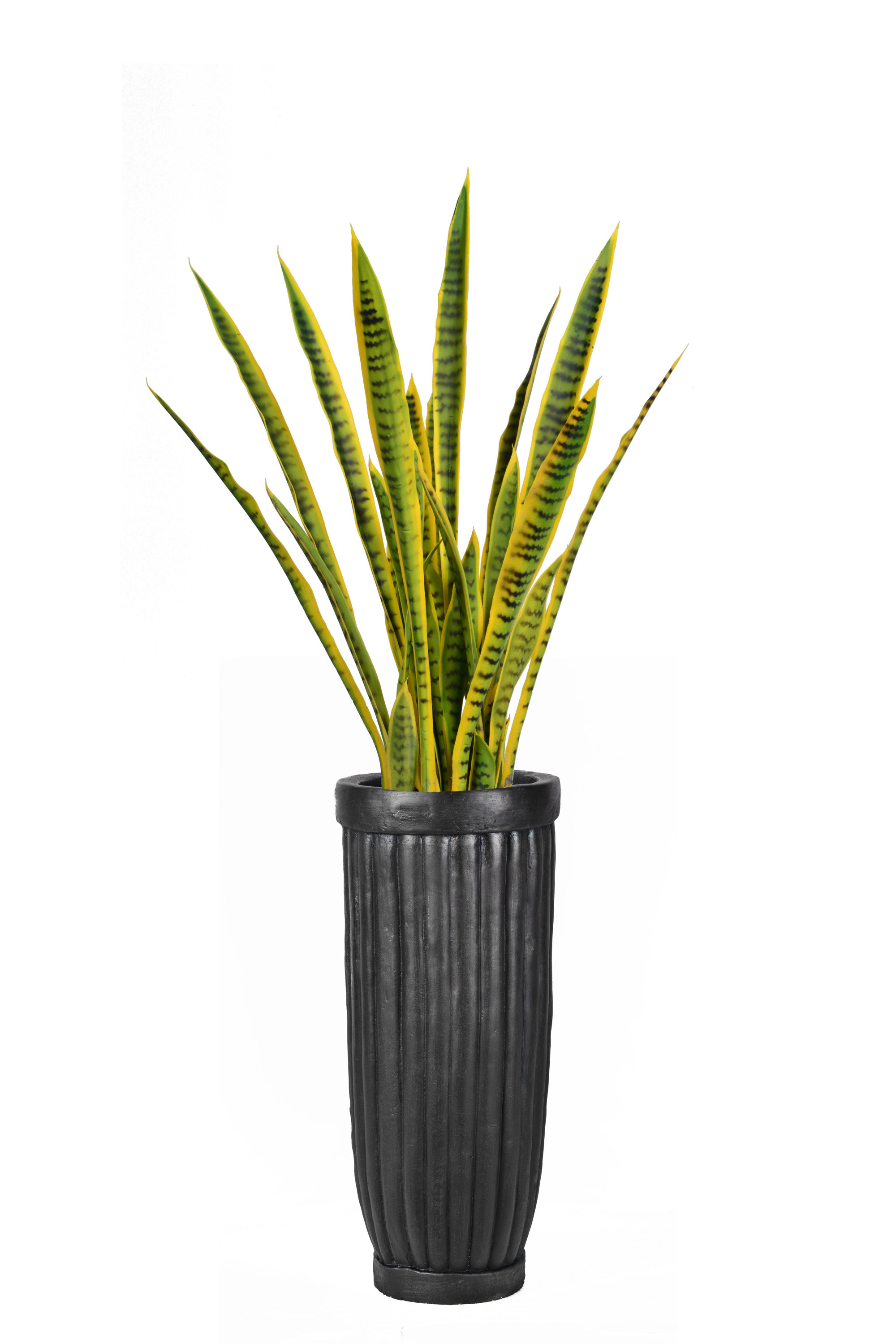 Laura Ashley Panama 44" Artificial Snake Plant in Planter & Reviews ...