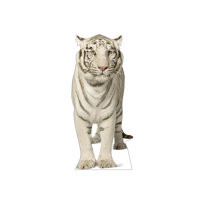 Animal Life Size Cutouts You'll Love | Wayfair