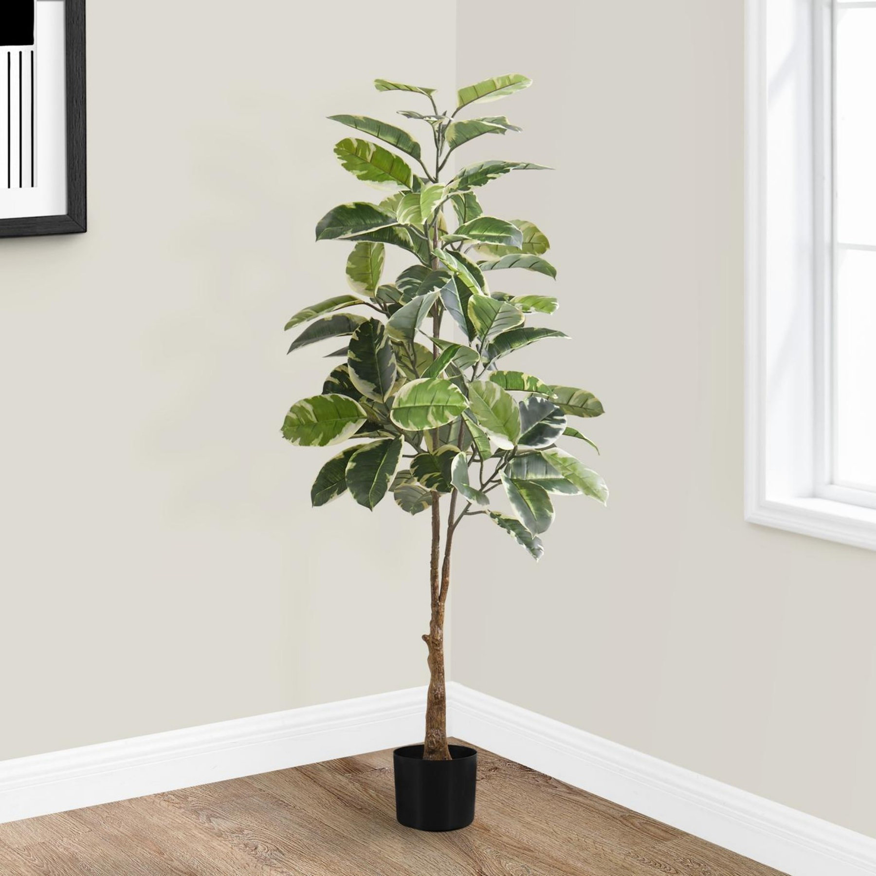 Primrue Large Rubber Tree for Home and Office | Wayfair