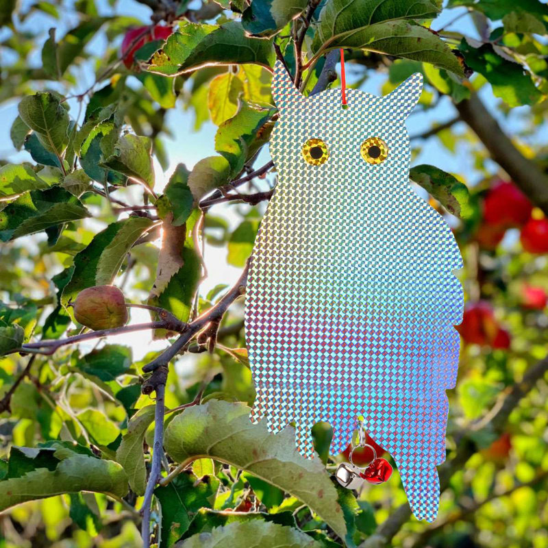 Arlmont & Co. Denai Bird Repellent Fake Owl Bird Devices Deterrent ...