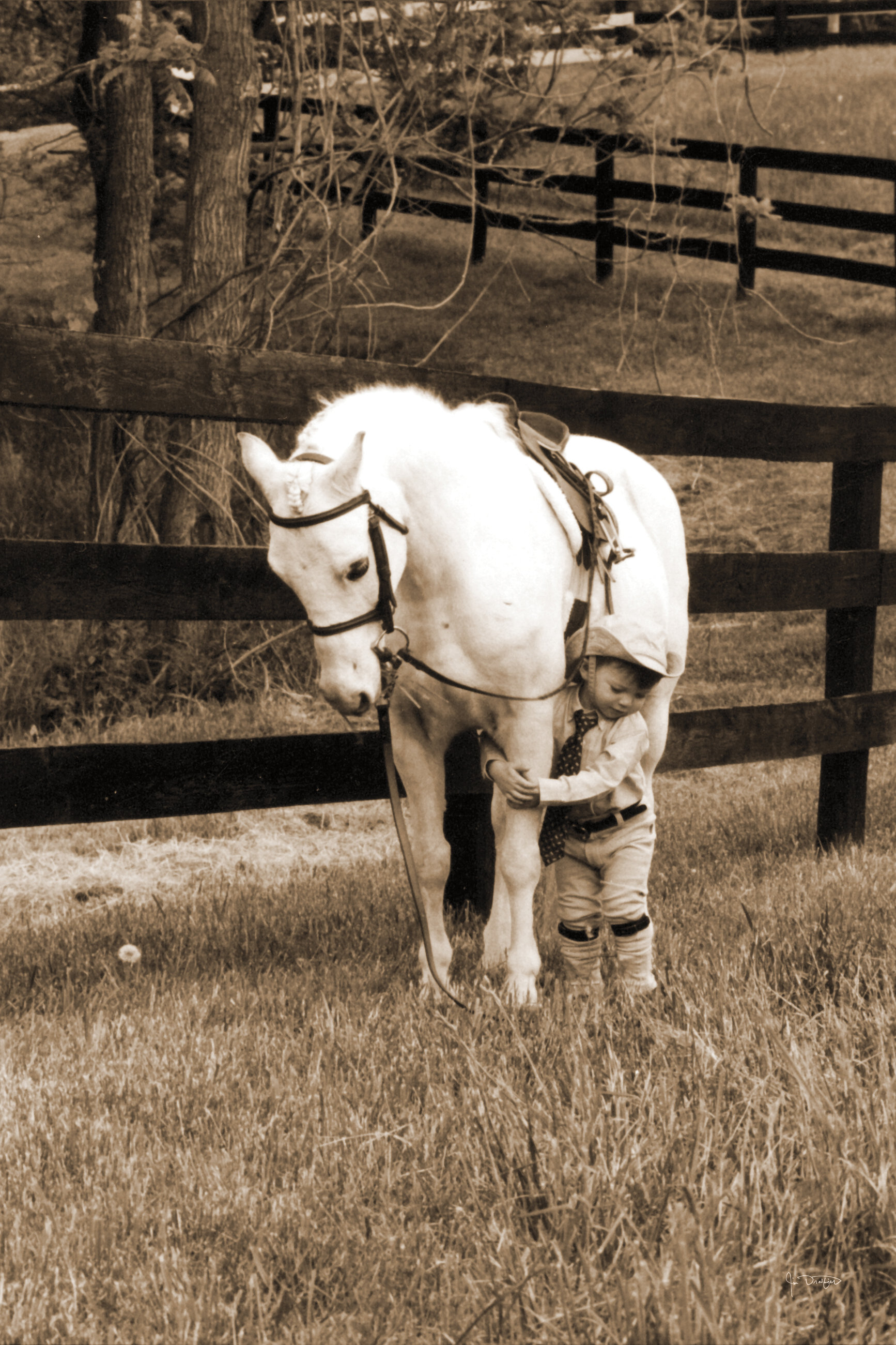 Loon Peak® Pony Boy | Wayfair