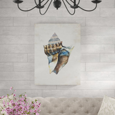 Chelsea Art Studio Beverly Fuller Shell Compilation I On Canvas by ...