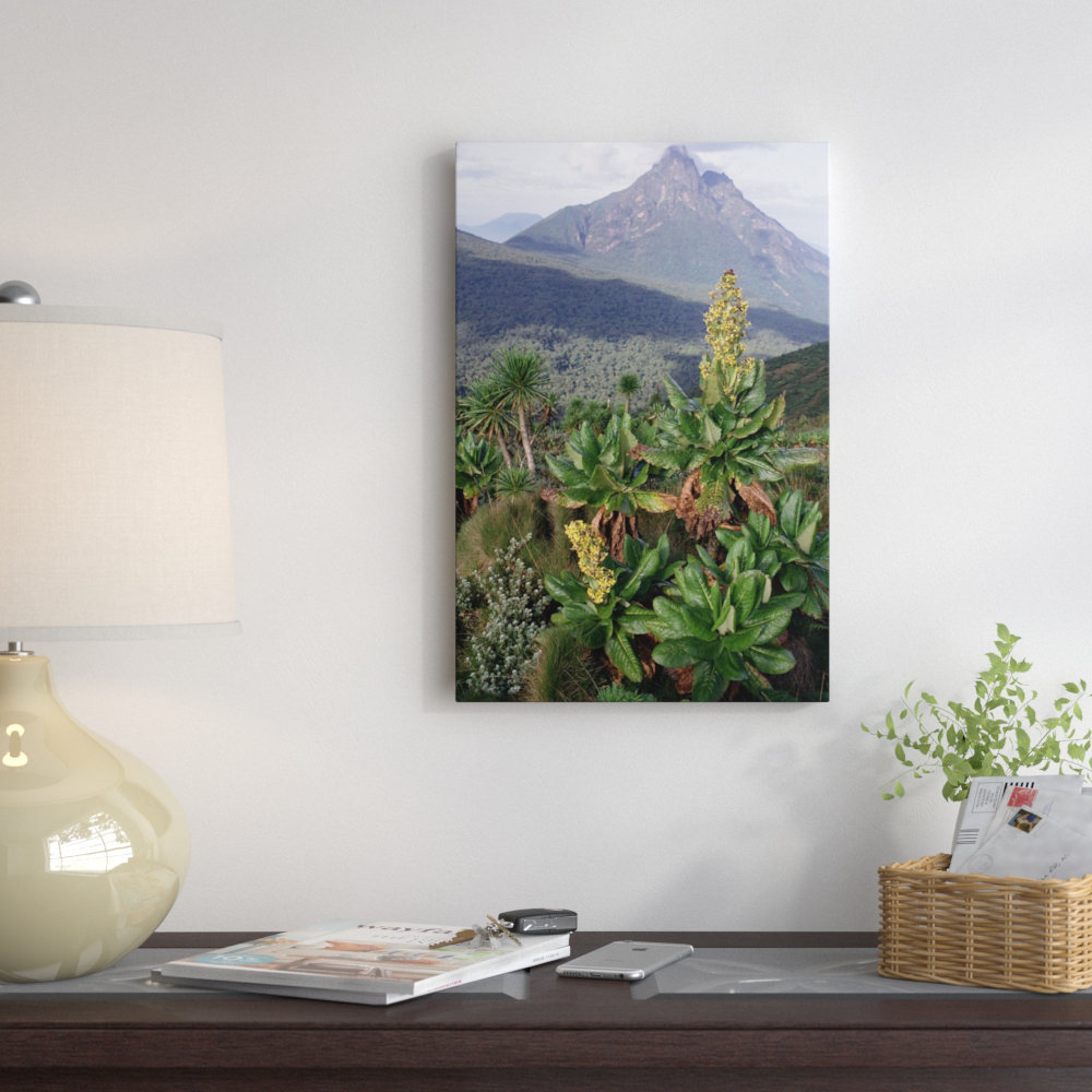 East Urban Home Rwanda Parc National Des Volcanos 'Mt Mikeno From The ...