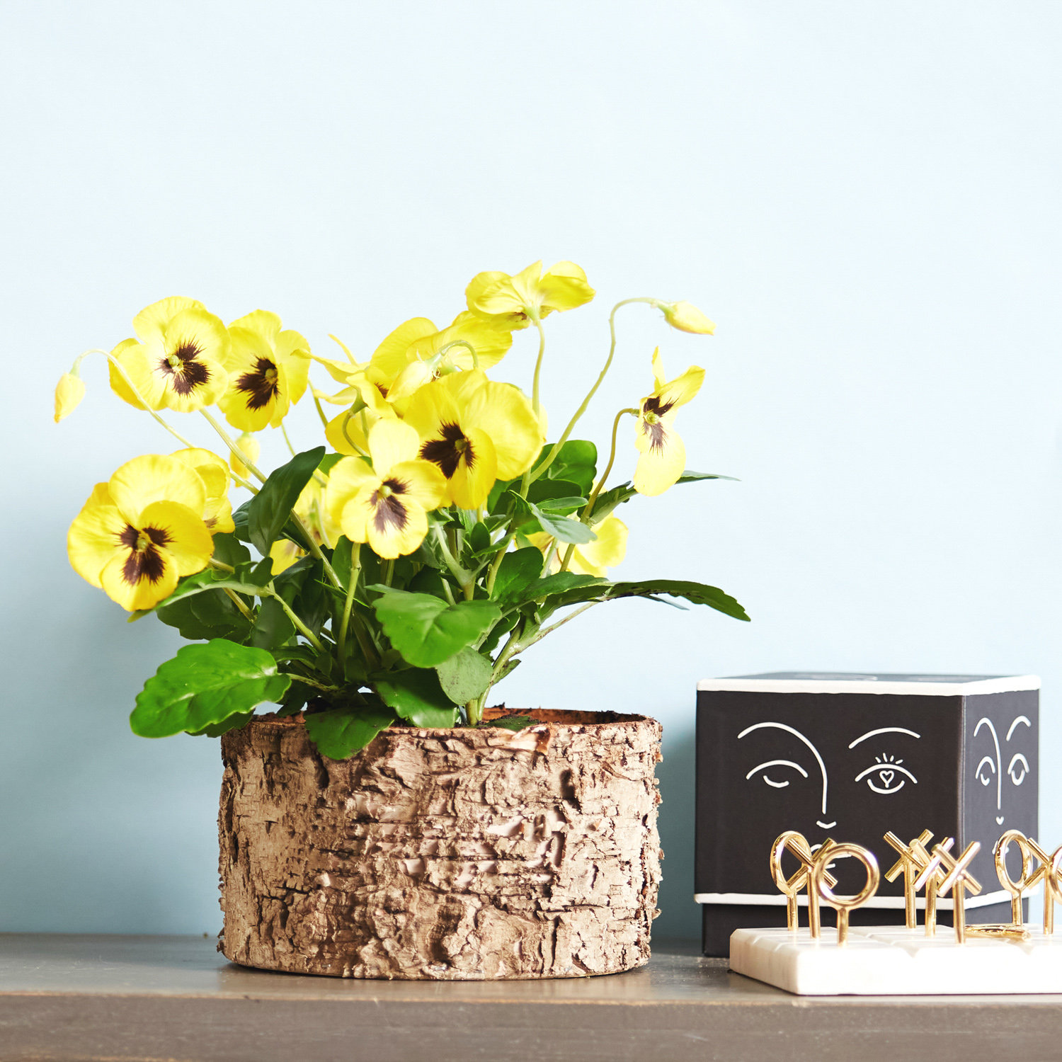 Canora Grey 12" Artificial Flowering Plant in Planter - Wayfair Canada