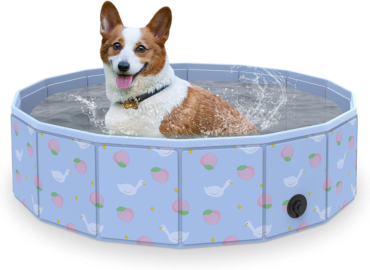 LUCKUP Plastic Pet Pool - Wayfair Canada