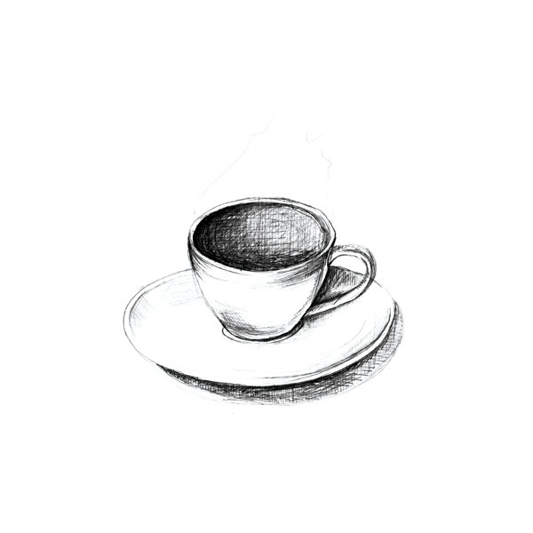 ClassicLiving Coffee Plain Drawing - Wrapped Canvas Painting | Wayfair ...