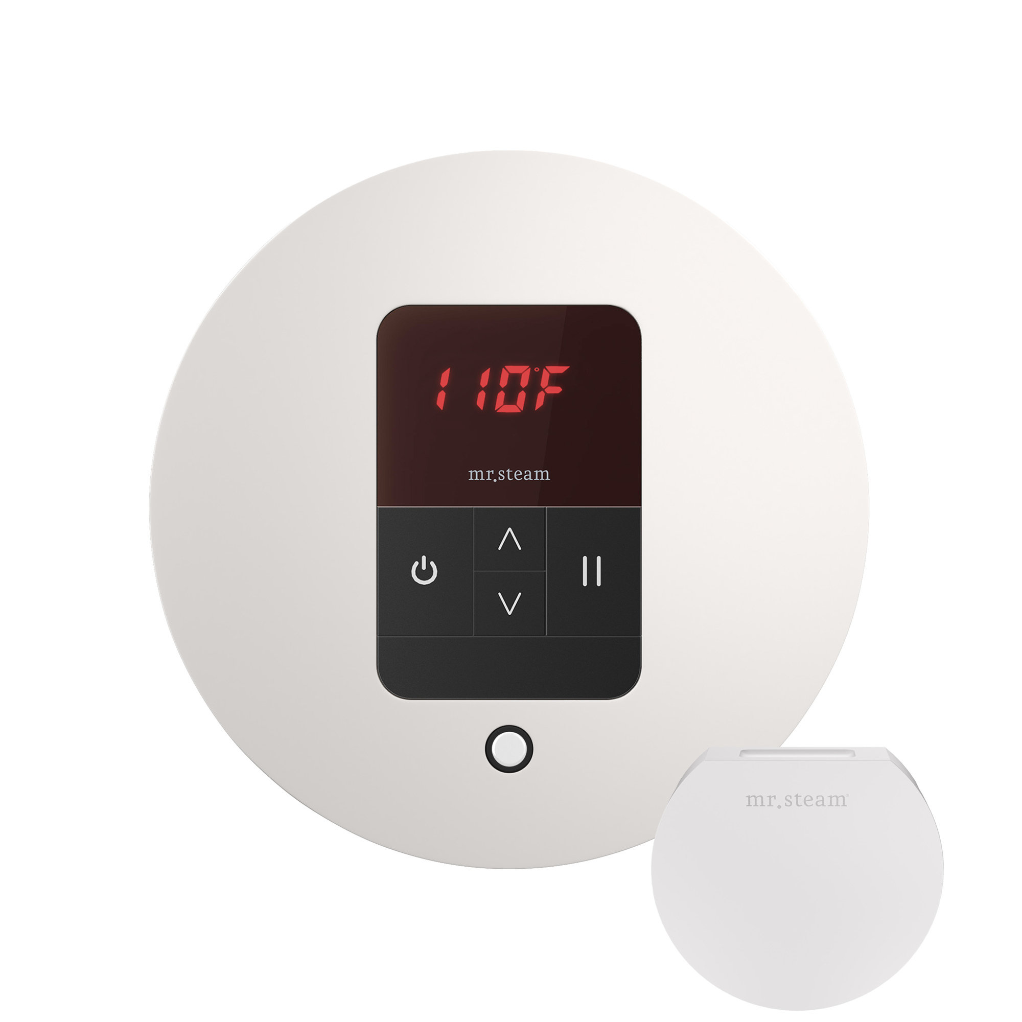 Mr. Steam Basic Butler Steam Shower Control Package with Round iTempo ...