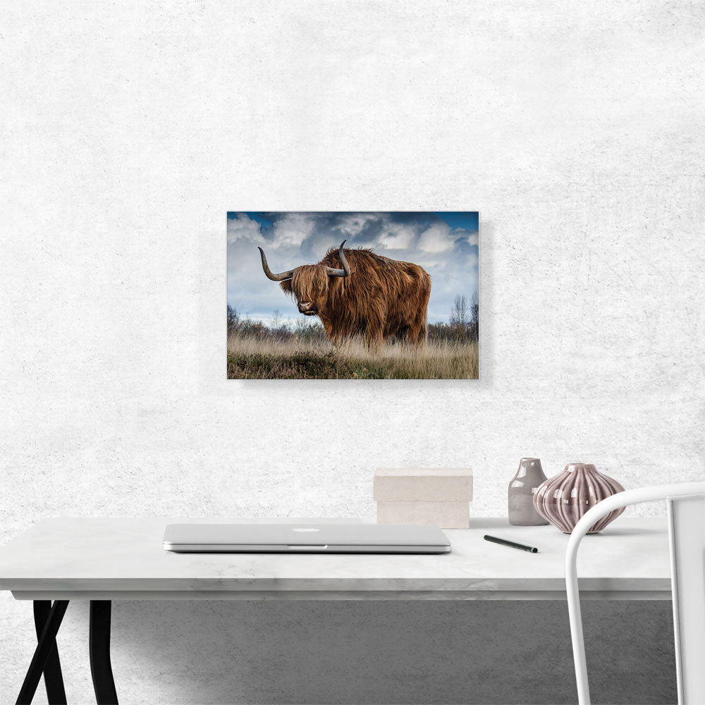 ARTCANVAS Long Hair Bull Home Decor Rectangle Canvas Art Print ...