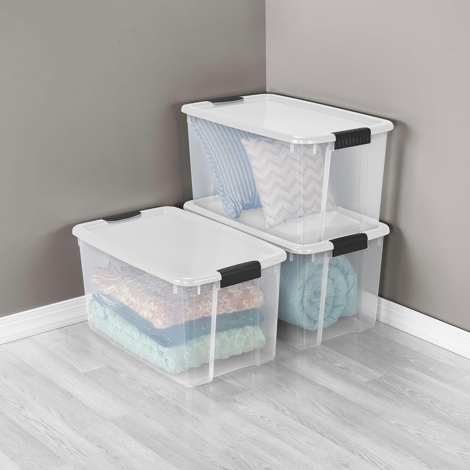 Wrought Studio™ Locking Box, Transparent Plastic, With Lid, Heavy-Duty ...