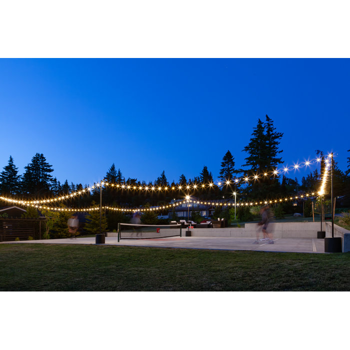 Arlmont & Co. 9.5ft Heavy-Duty String Light Pole Stand with ...