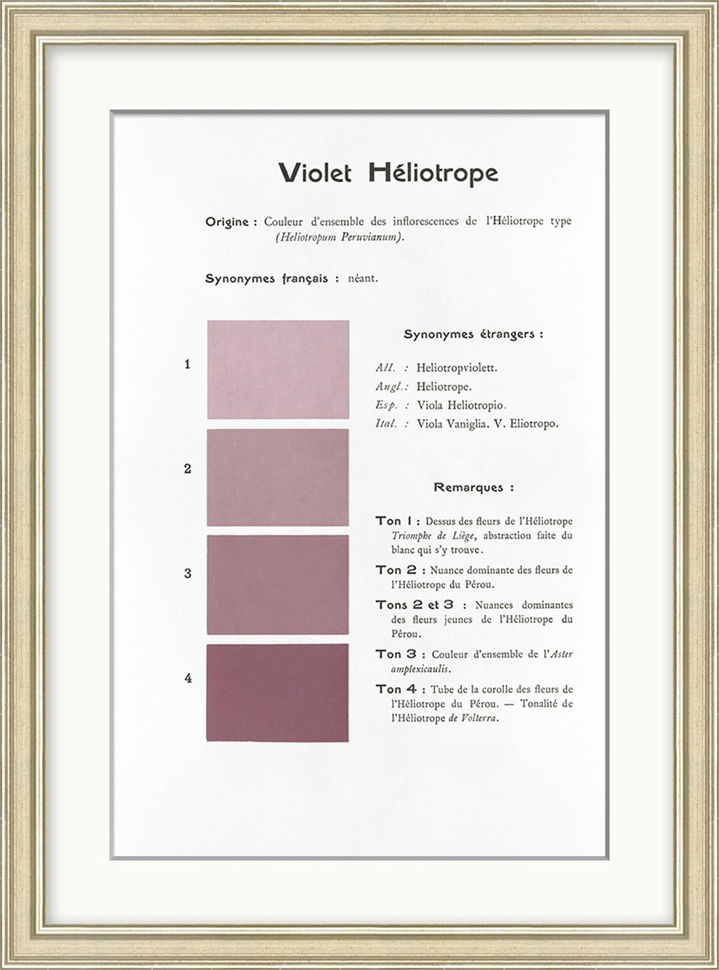 Wendover Art Group Violet 4 | Wayfair