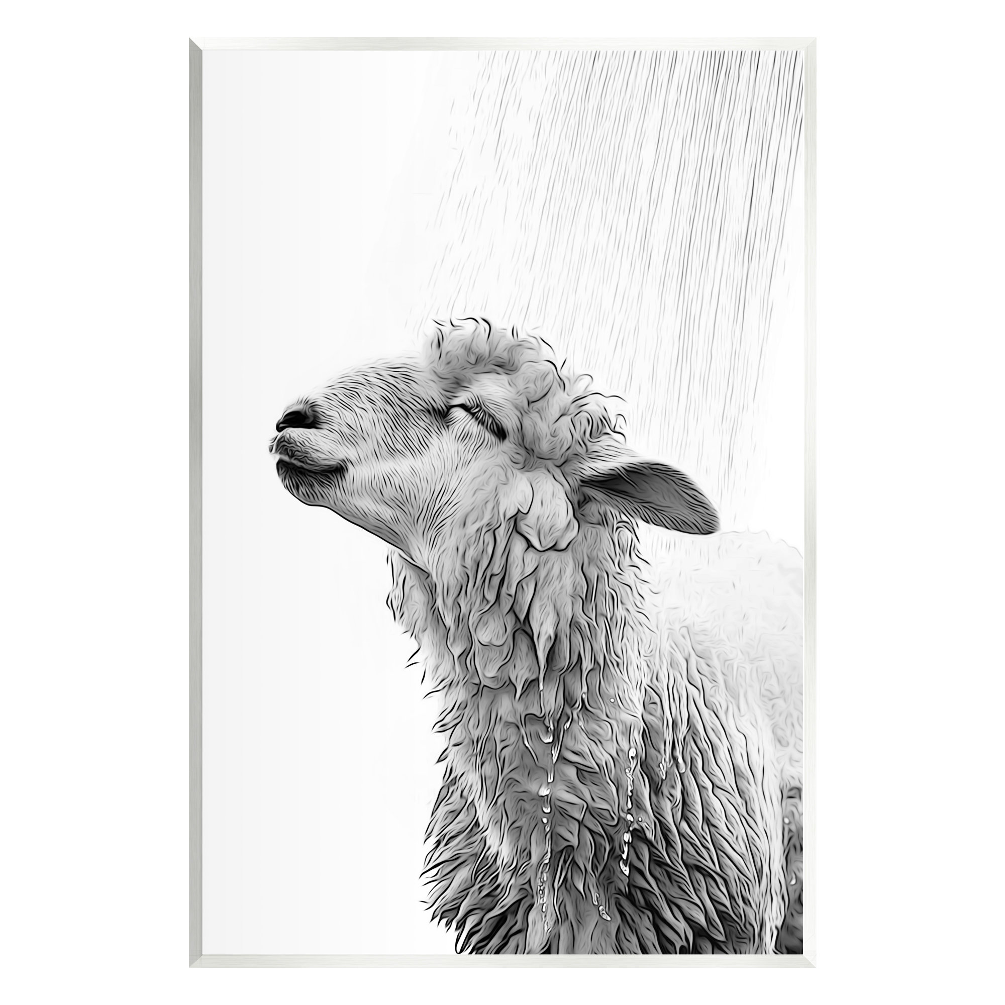 Stupell Industries Sheep Bathroom Splash by Annalisa Latella | Wayfair