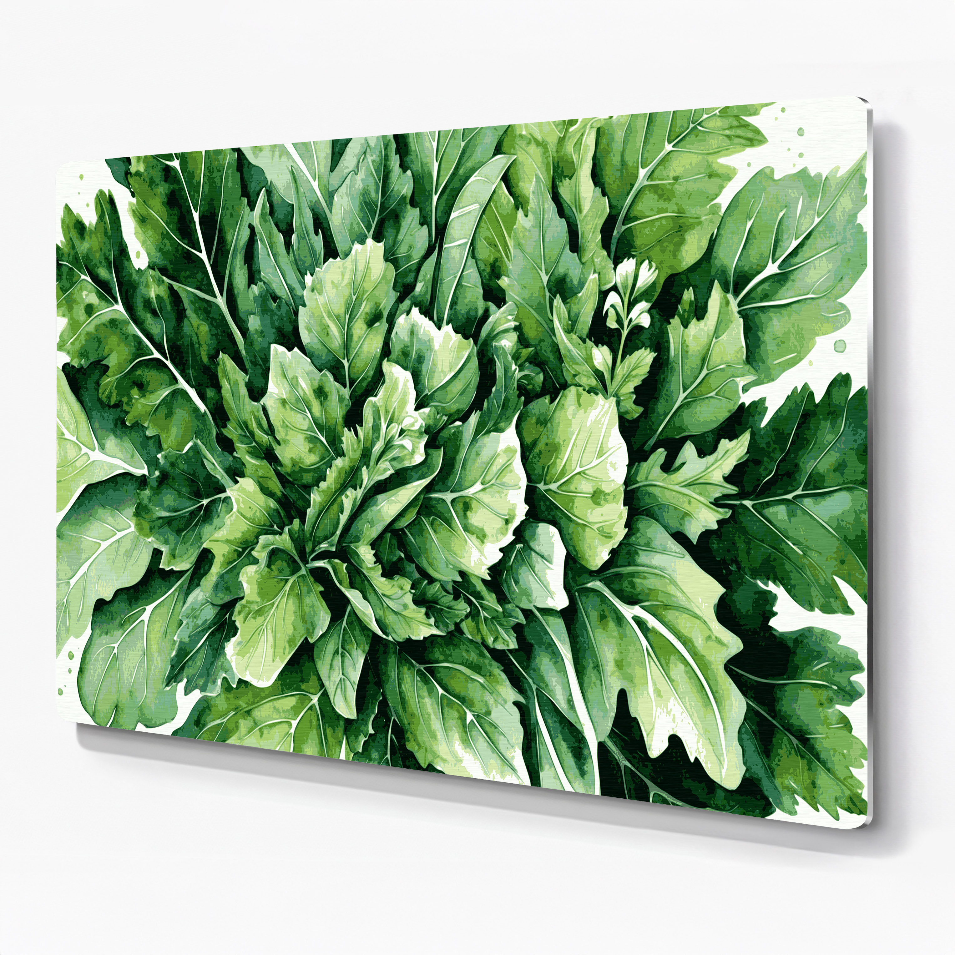 Hokku Designs Vegetables Arugula Eruca sativa Green Metal Wall Art ...