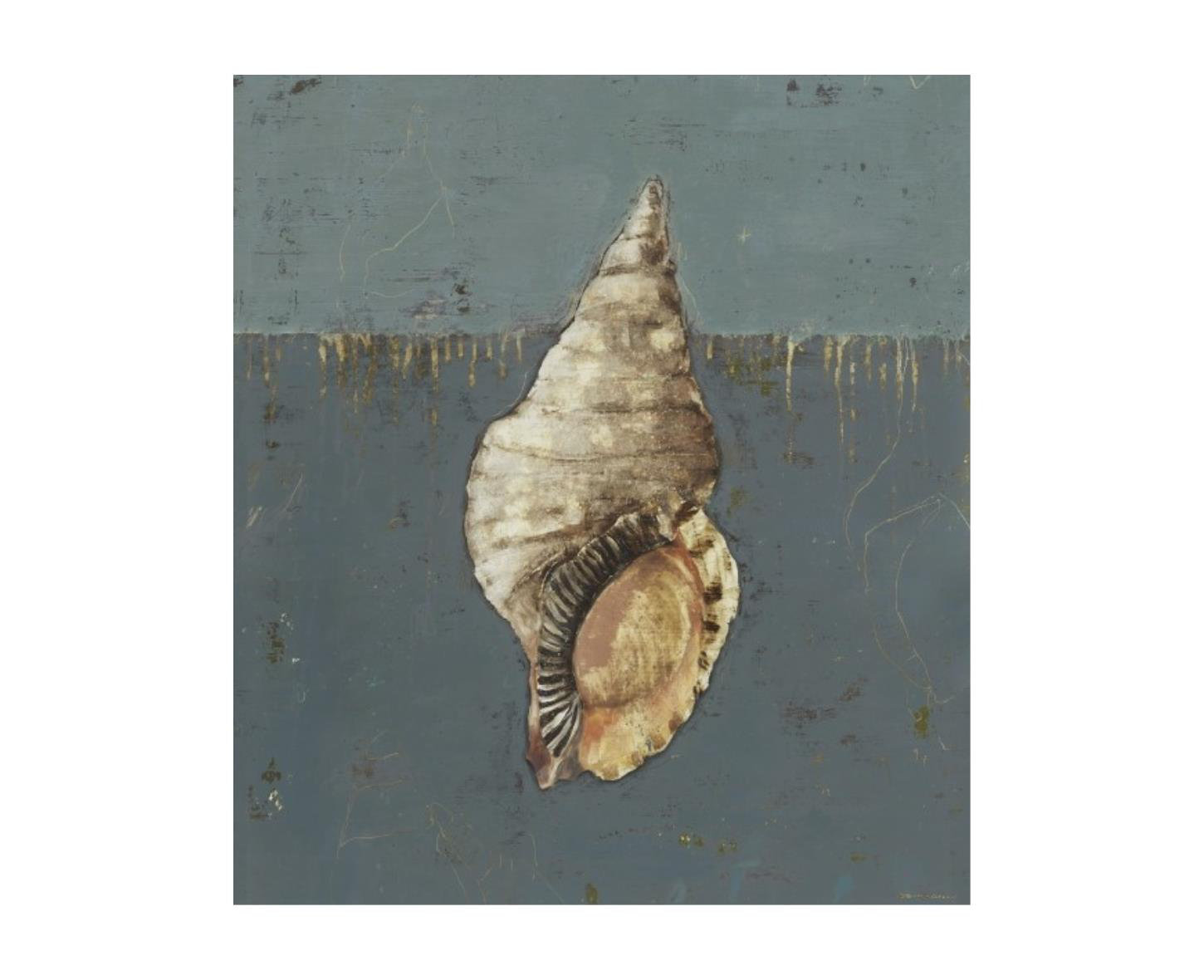 Chelsea Art Studio Seashell A by Sarah Atkinson - Wrapped Canvas ...