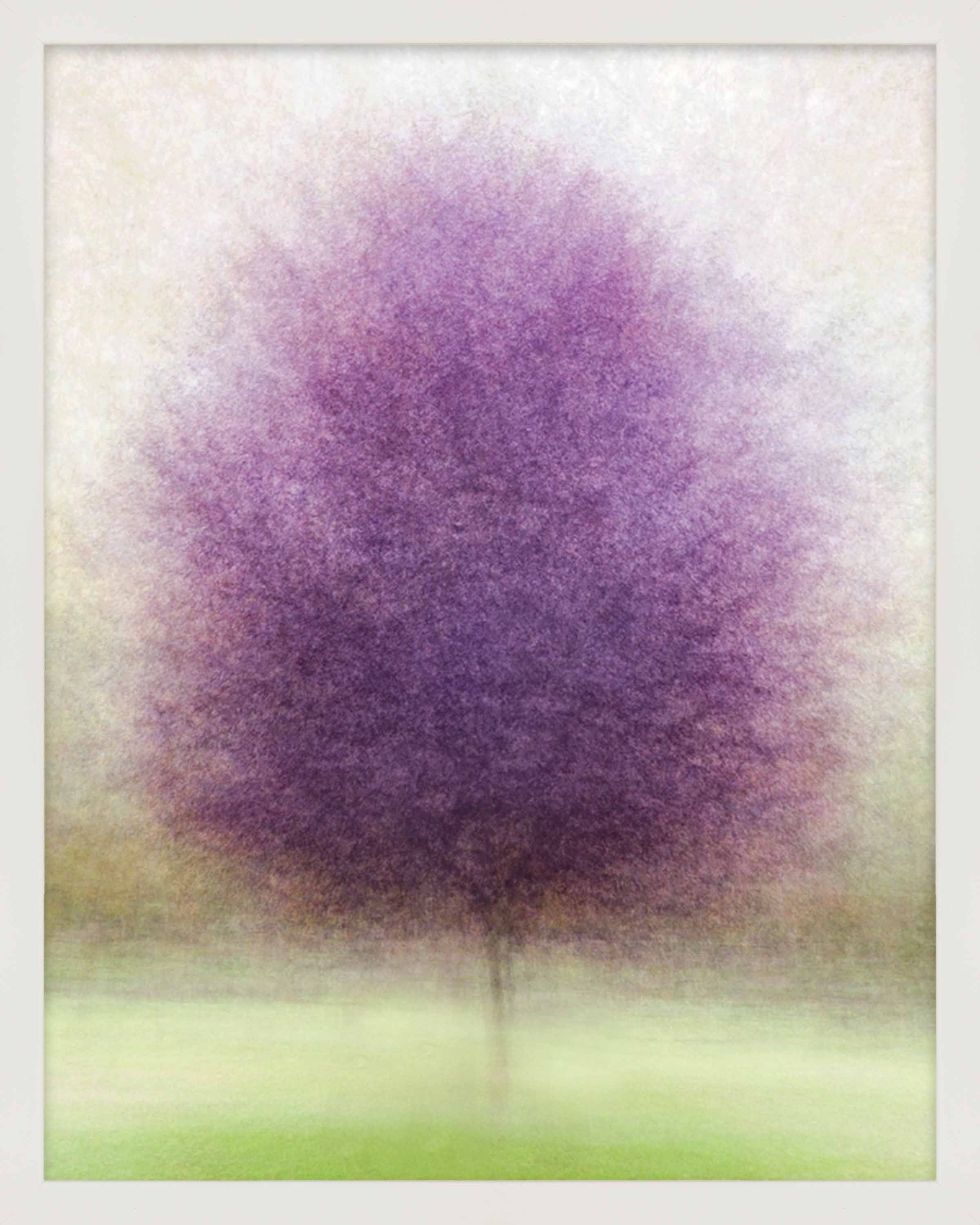 Lipman Art Purpurea by Laura Zimmerman - Framed Wall Art | Perigold