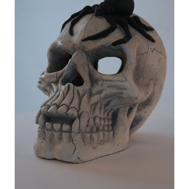 Trinx Braylon Fireproof Demon Skull Decoration for Fire Pits | Wayfair
