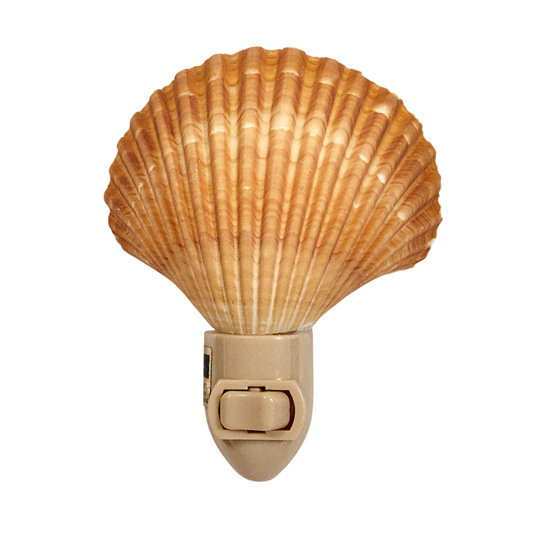 Highland Dunes Alday Shell LED Night Light "& Reviews" | Wayfair