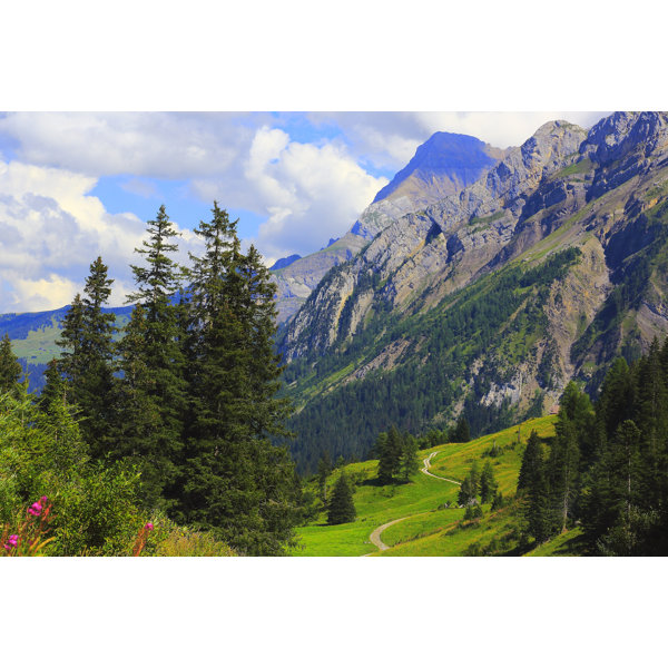Alpen Home Alpine Trail, Country Road, Engadine Pine Tree Woodland ...