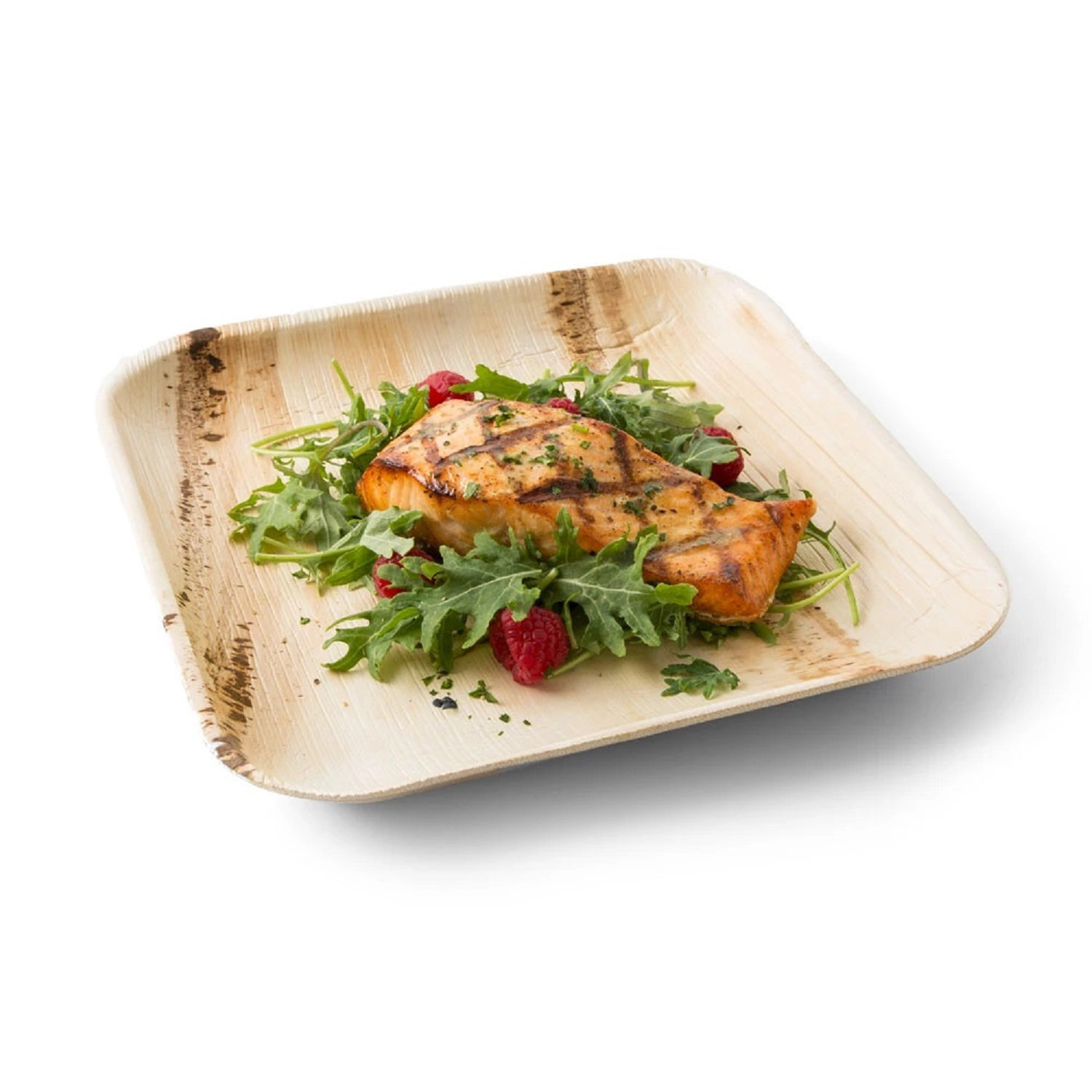 Bosnal 10 Inch Square Palm Leaf Dinner Plates - Wayfair Canada
