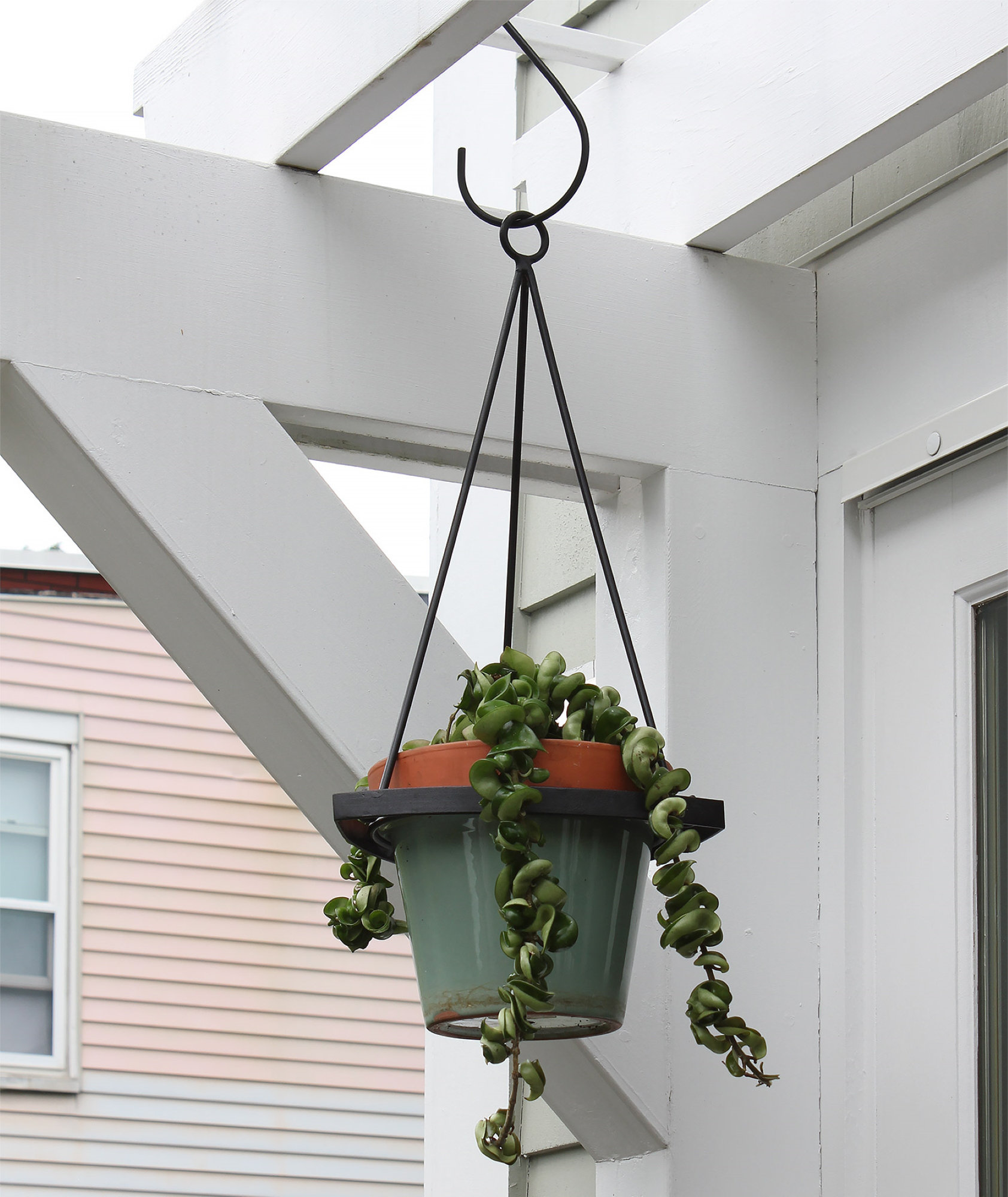 Wrought Studio Rouleau Iron Hanging Planter & Reviews - Wayfair Canada