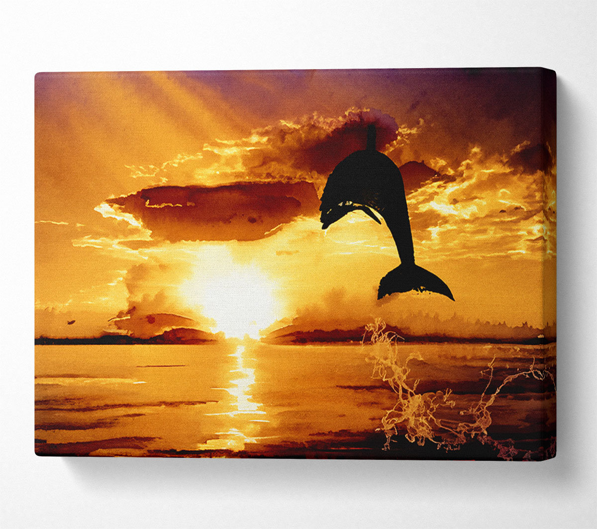 House of Hampton Dolphin Sunset - Wrapped Canvas Art Prints | Wayfair.co.uk