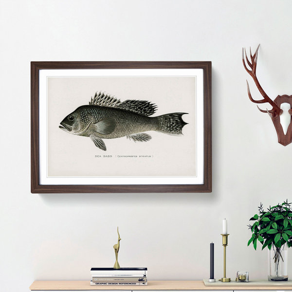 East Urban Home Sea Bass Fish by Sherman F. Denton - Picture Frame ...
