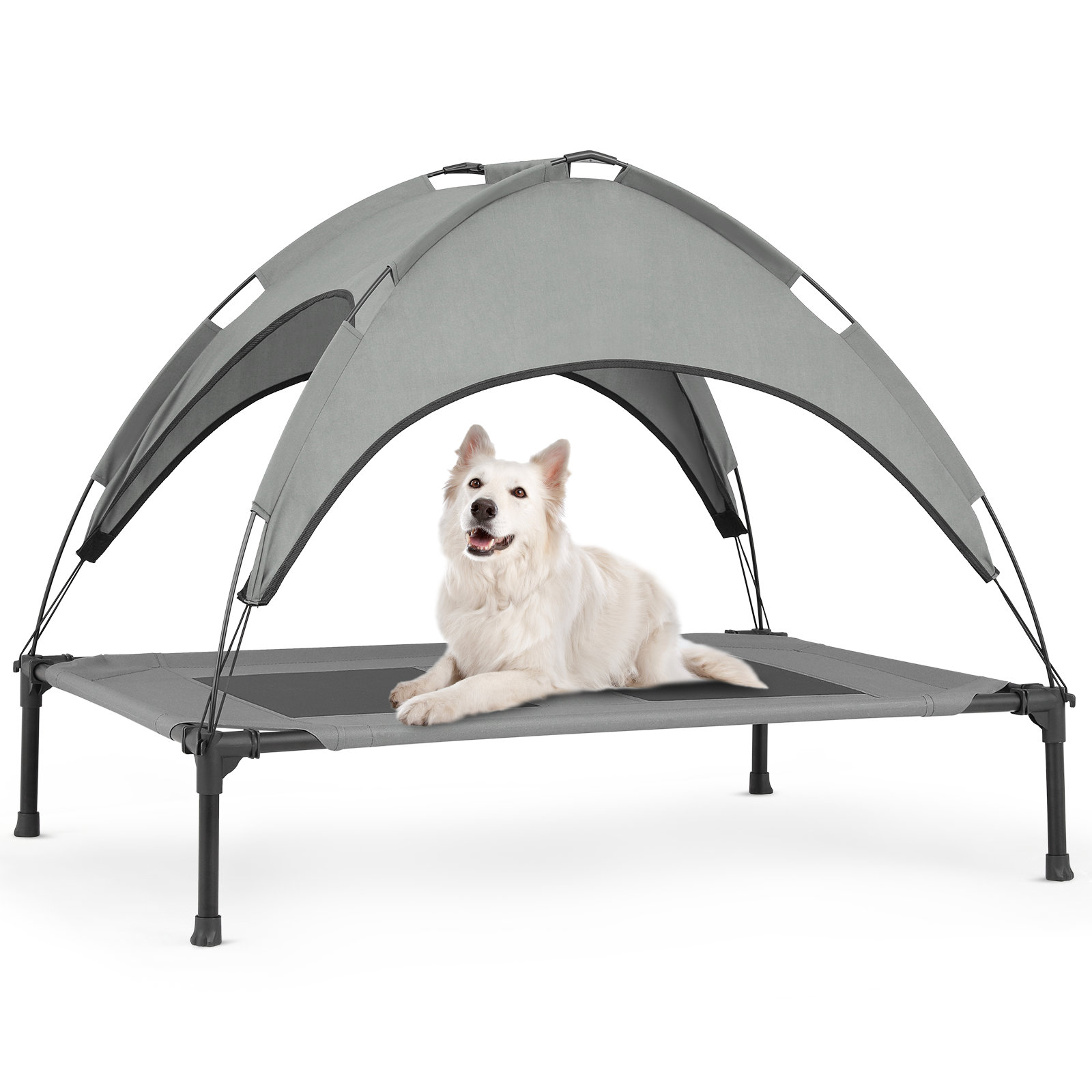 Tucker Murphy Pet™ Dehlia Mesh Cot & Reviews - Wayfair Canada