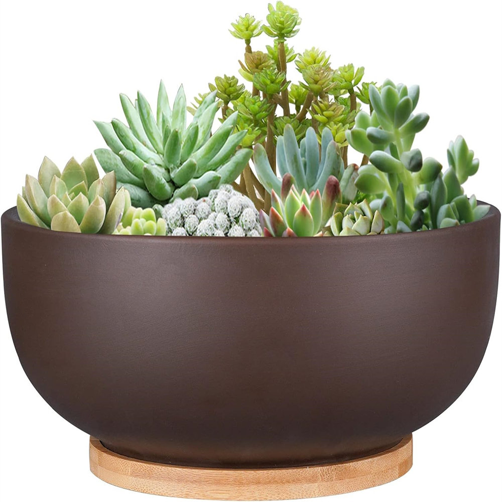 Latitude Run® 10 Inch Terracotta Planter, Large Succulent Bonsai ...