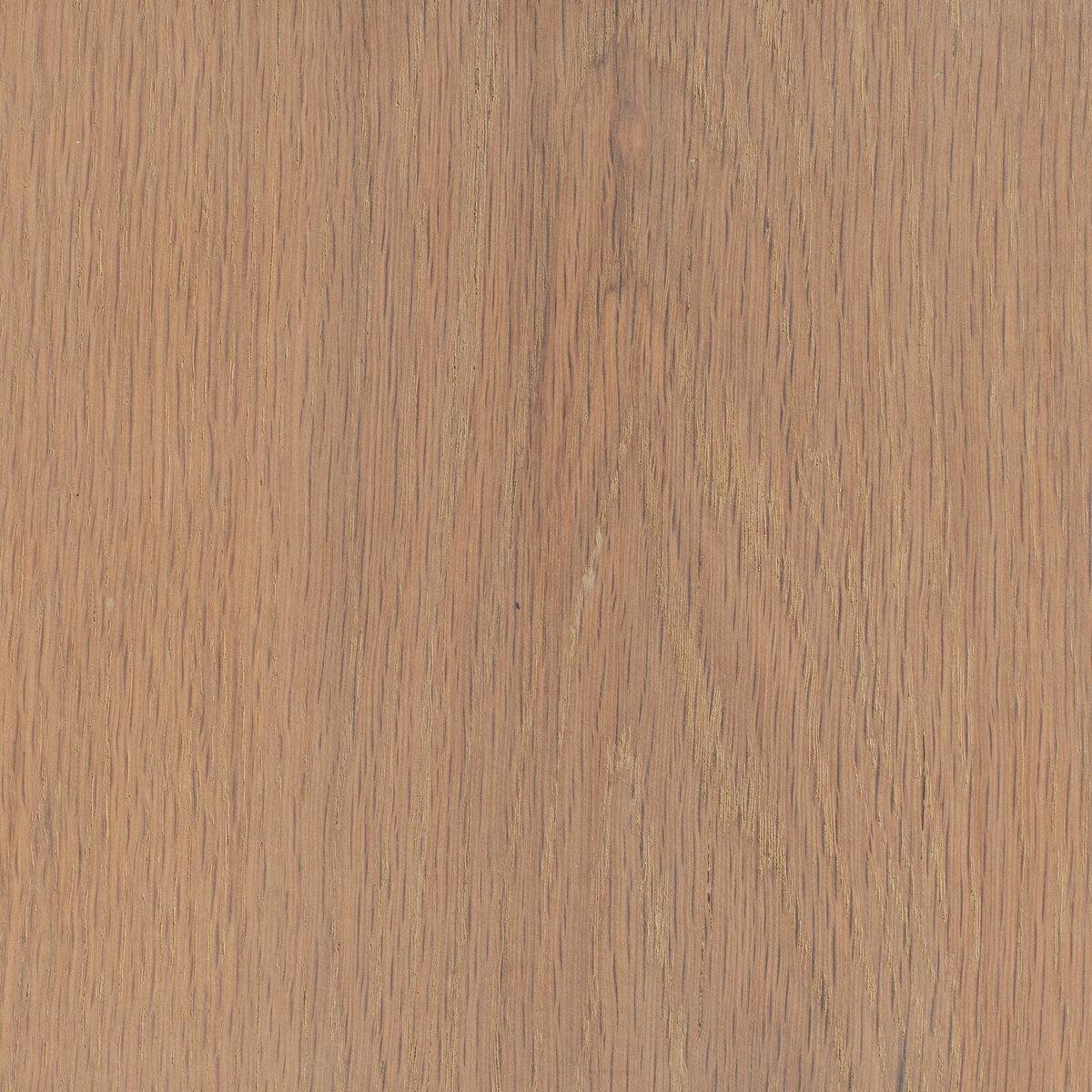 Jamie Beckwith Collection Arrow Singular Tile | Wayfair