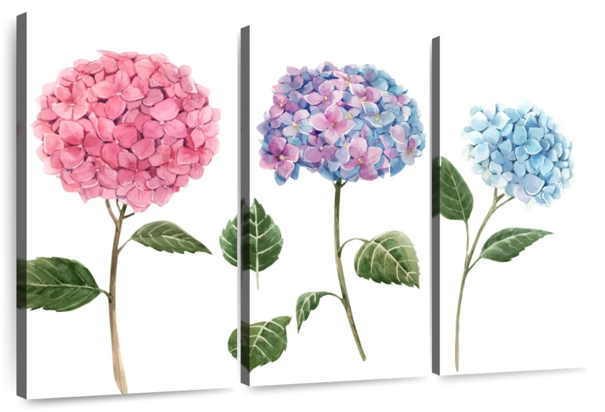 Lark Manor Harnek Watercolor Hortensia Flowers - Wayfair Canada