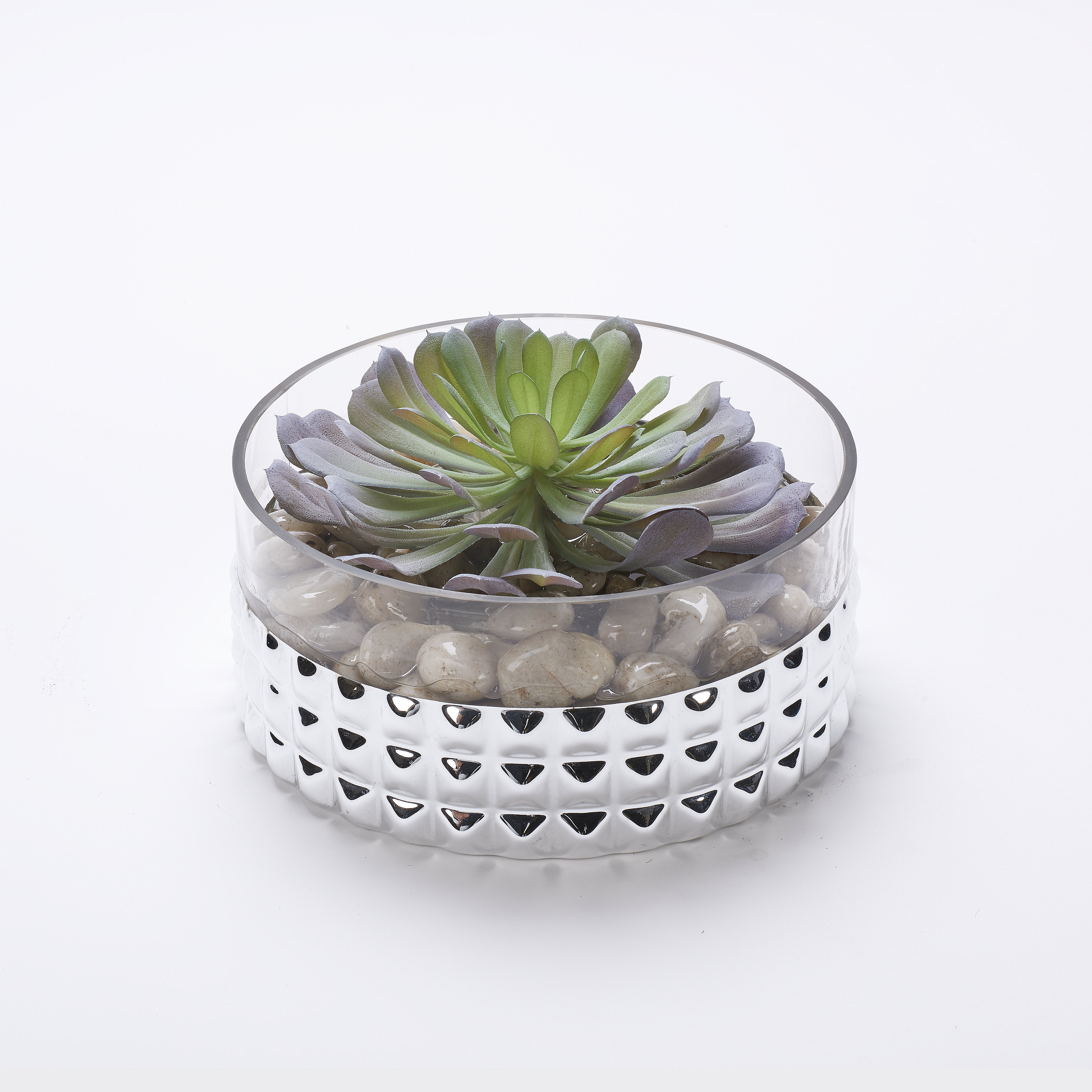 Primrue Frosted Green Pinwheel Succulent In Glass Bowl | Wayfair