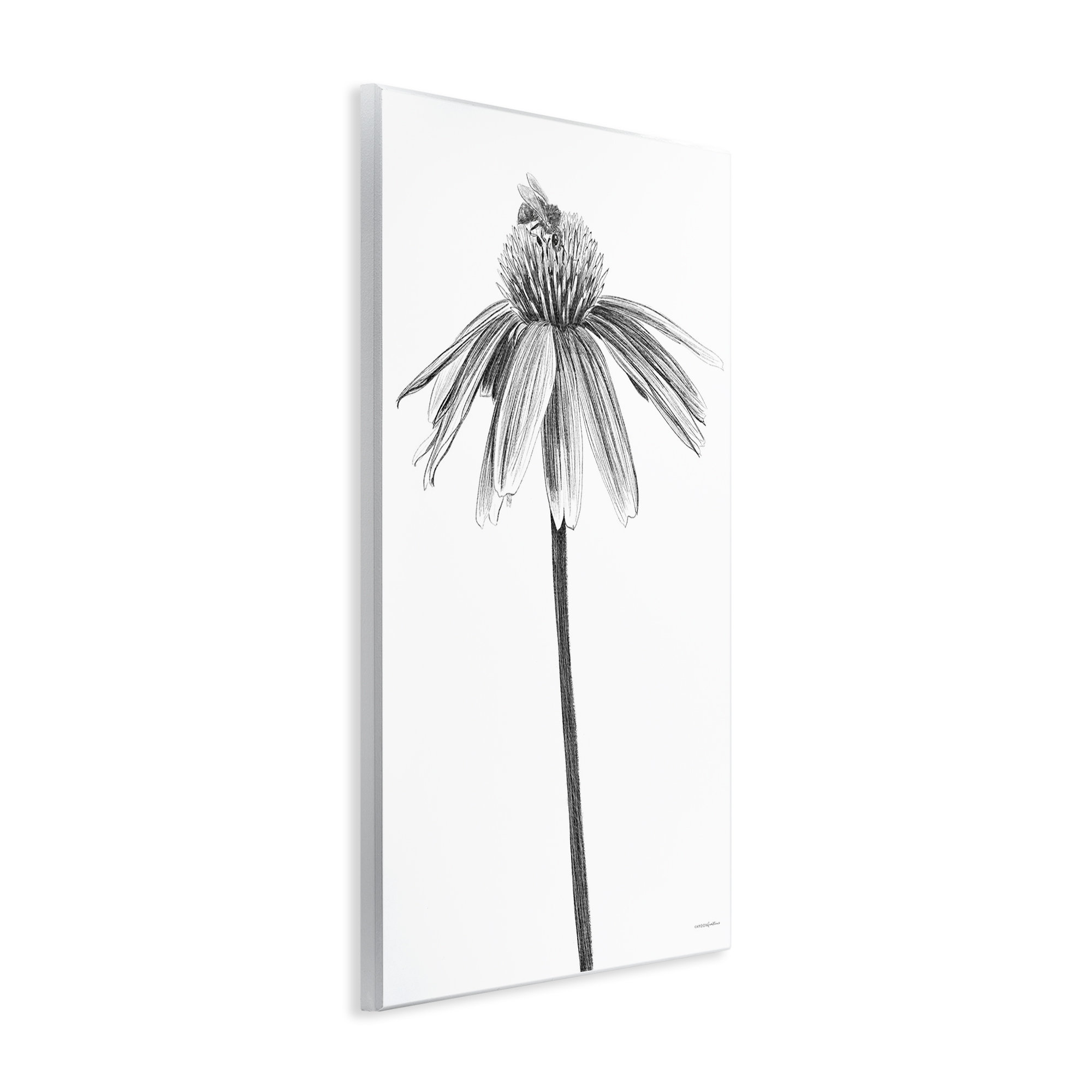 Stupell Industries Simple Daisy Sprig Wall Plaque Art by Kamdon ...