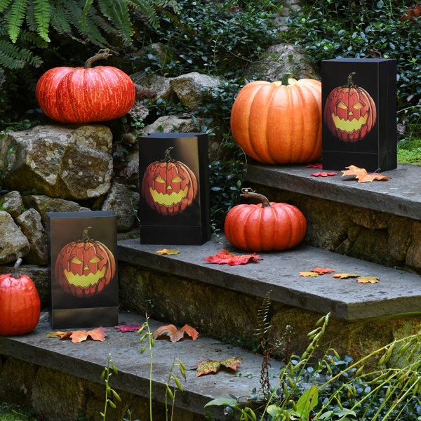 The Holiday Aisle® Plastic Luminary and Pathway Lights & Reviews ...