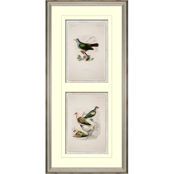 Wendover Art Group Stacked Pastel Birds Stacked Pastel Birds II Framed ...
