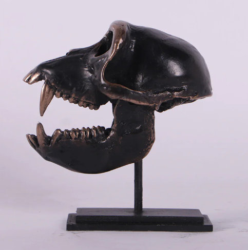Trinx Jiten Monkey Macaque Skull Life Size Statue | Wayfair